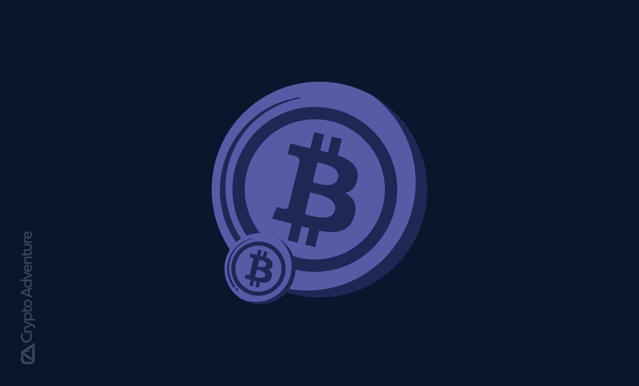 Understanding Bitcoin Dominance